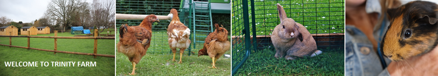 Trinity Farm – Nutfield Church Primary School